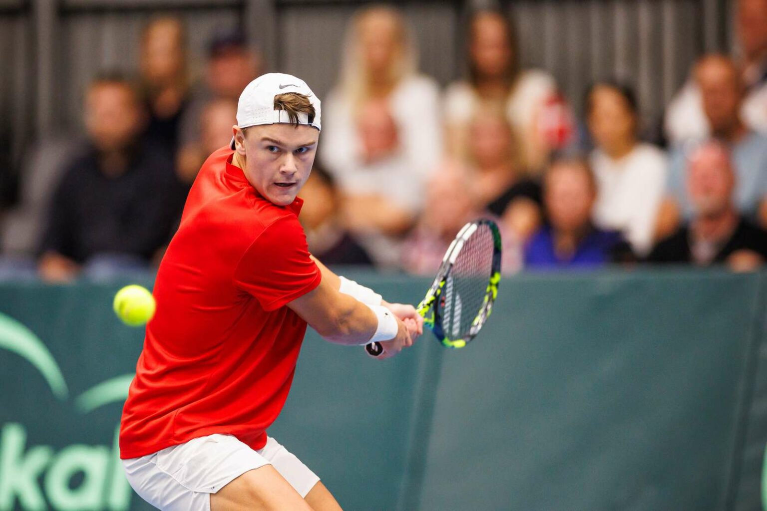 Holger Rune melder afbud til OL · Dansk Tennis Forbund